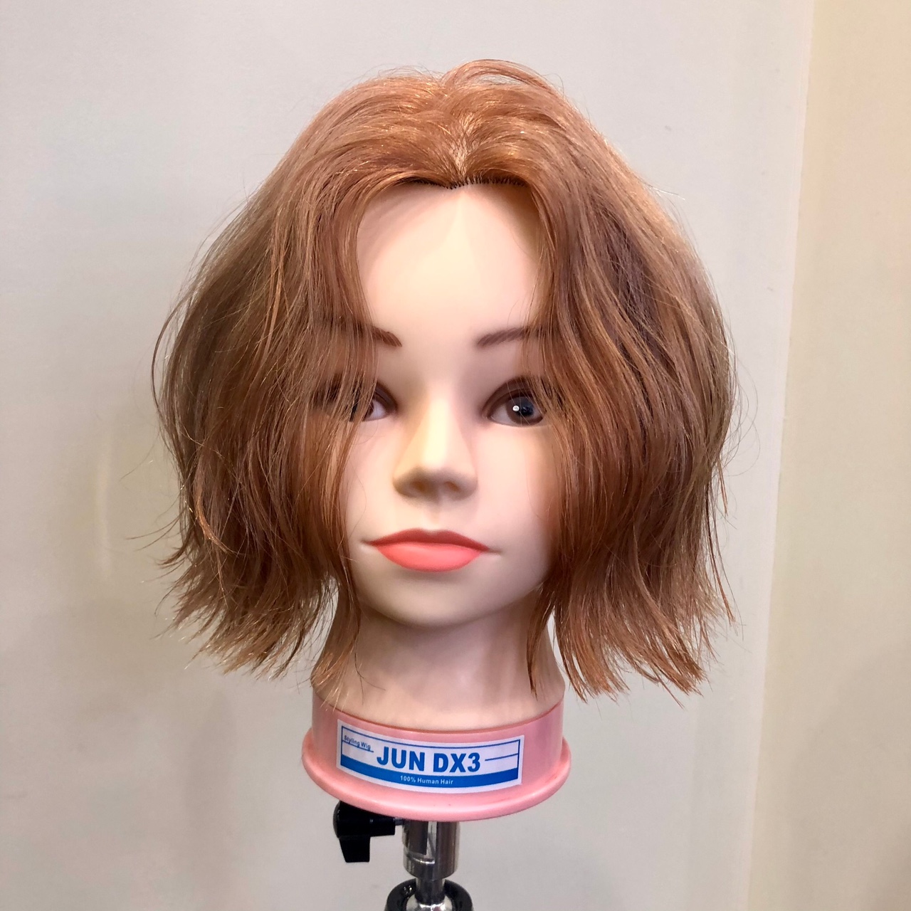 2020 Basic Cut Contest | Ships